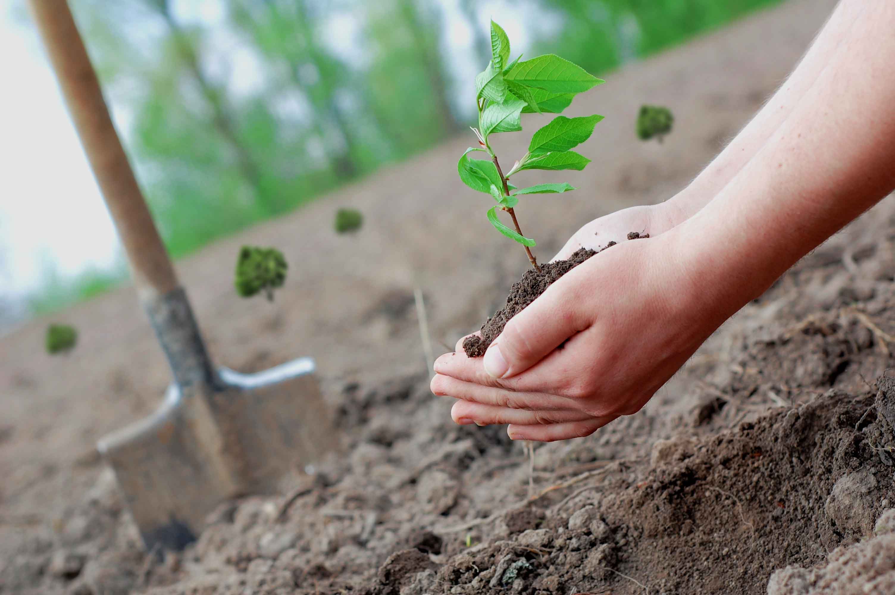 Welcome to your CABLE SLAB MALAYSIA Website. – Protect Your Underground ...